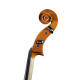 LienViolins Professional 系列大提琴 | 典藏佳音在佳典、佳典名琴蘊經典