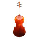 LienViolins Professional 系列大提琴 | 典藏佳音在佳典、佳典名琴蘊經典